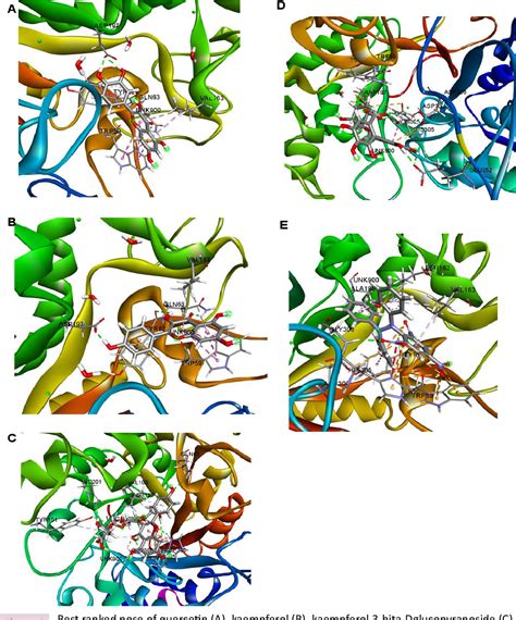 Figure 2 From In Silico Molecular Docking And Adme T Analysis Of Some Selected Isolated