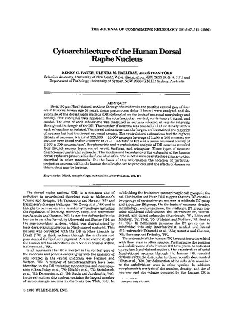 Pdf Cytoarchitecture Of The Human Dorsal Raphe Nucleus