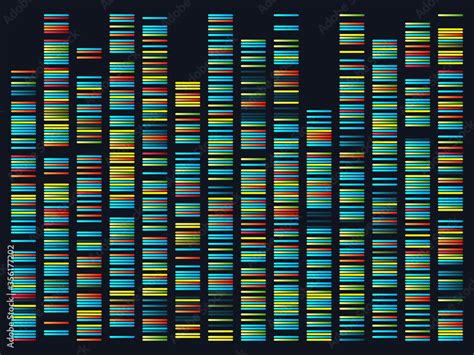 Genomic Sequences Structure Of Dna Genome Sequence Map Human Pairs Of Chromosomes Vector