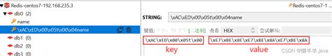 springboot整合redis实现几种自定义数据序列化存储方式 springboot redis序列化 csdn博客
