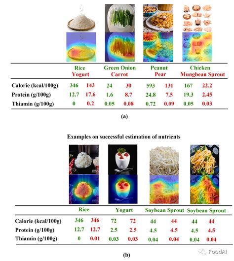 Food Chemistry深度学习在基于图像的中国市场食品营养估计中的应用 Py学习