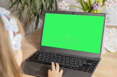 Preschool Girl Studying Distance Learning Course Using Computer For Self Education And