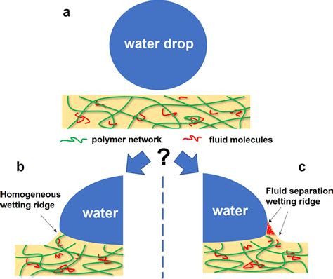 Schematic Illustration Of Possible Outcomes For Soft Wetting On A Download Scientific Diagram