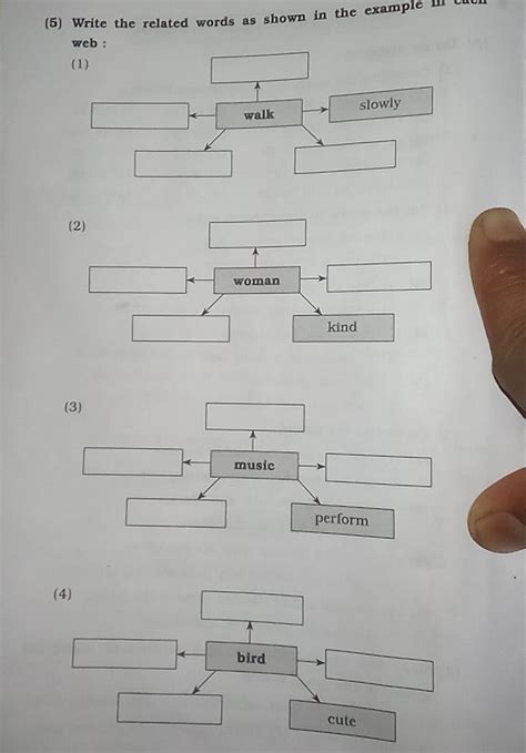5 Write The Related Words As Shown In The StudyX