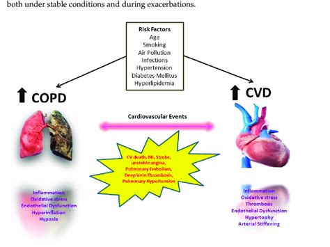 Interplay Between Copd And Cardiovascular Diseases Interplay Between