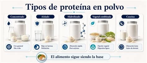 Mejor Proteína Del Mercado 2026 Top Marcas Y Cuál Elegir
