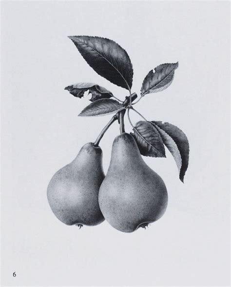 Blaxill Susannah Catalogue Of The International Exhibition Of