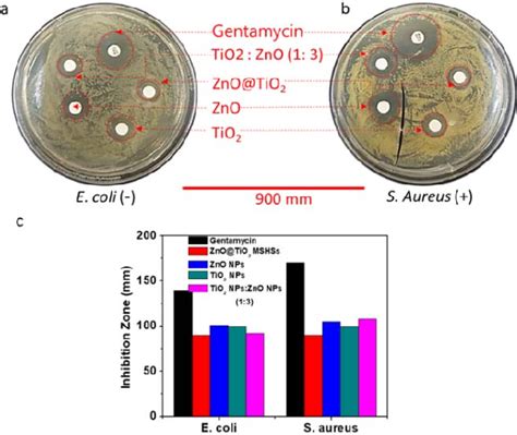 Antibacterial Effects Of Znotio 2 Mshss Zno And Tio 2 Nps A E Download Scientific Diagram