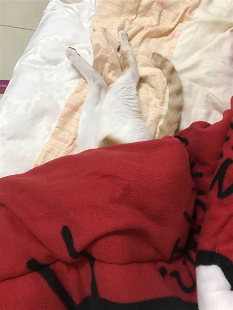 Re [討論] 住雲林鄉下如何找炮友或床伴 看板sex Ptt網頁版