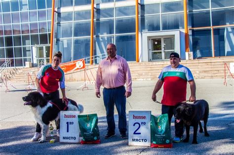 Български овчарки от Берковица с награди от киноложка изложба в Пловдив снимки