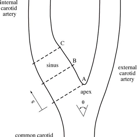 Schematic Representation Of The Model Geometry Adapted From 5 Dashed