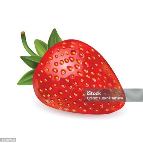 딸기입니다 달콤한 과일입니다 3 차원 벡터 아이콘 세트입니다 현실적인 그림입니다 딸기 현실적인 아이콘 벡터 흰색 배경에 고립입니다 딸기에 대한 스톡 벡터 아트 및 기타