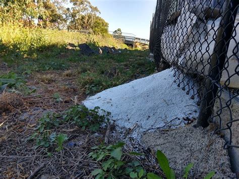 The Tiny Plastic Pellets Causing A Big Environmental Problem