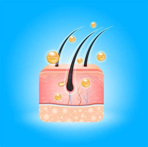 Vitamins Hair Care Over Skin Cells And Collagen Solutions Hyaluronic Acid Are Used For Beauty