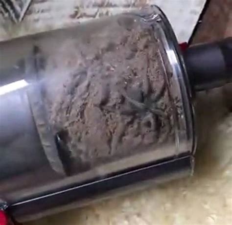 Woman Wasnt Able To Sleep In Her Room For Three Days After Finding Massive Spider Inside Vacuum