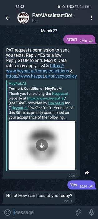How To Use ChatGPT On Telegram Methods