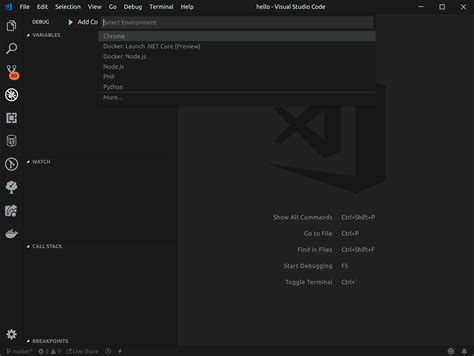Ruby Usually Missing From Debug Add Configuration · Issue 421 · Rubyidevscode Ruby · Github