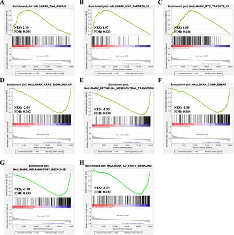 Gene Set Enrichment Analysis The Enriched Pathways Included A Dna Download Scientific