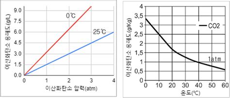 탄산수 내부에 녹아있는 이산화탄소양기체용해도 탄산수 실험4