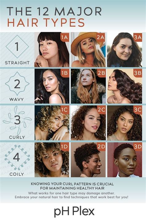 1c Hair Type Care Garfield Faison