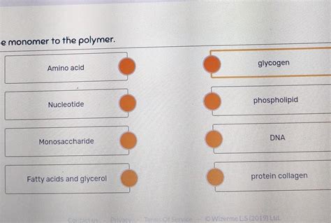 please help match the monomer to the polymer a amino acid b glycogen c