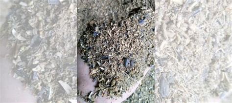 Отходы семечек купить в Московском Животные и зоотовары Авито