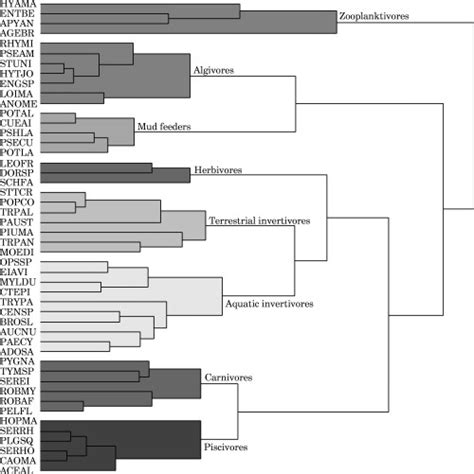 Cluster Analysis Dendrogram UPGMA Algorithm Of Trophic Distances
