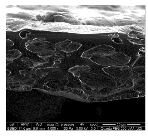 Bio Based And Biodegradable Polymer Eureka Patsnap