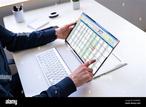 Electronic Spreadsheet Analyst Or Auditor Using Software On Hybrid