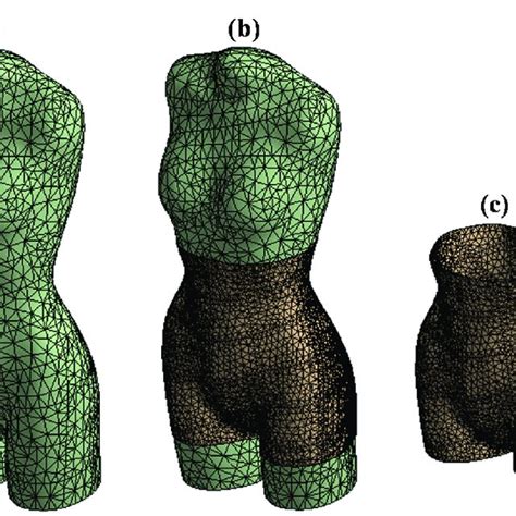 The 3d Finite Element Meshed Models A The Human Body Model B The Download Scientific