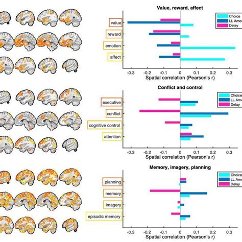 Spatial Similarity Of The K Marker With Meta Analytic Maps In Order To Download Scientific