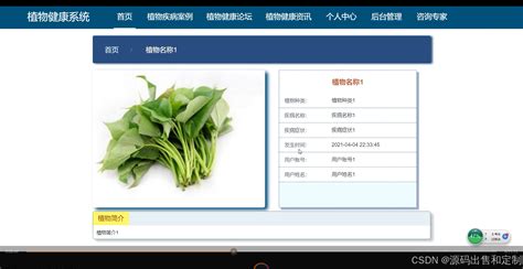 附论文基于springboot和vue的植物健康系统087基于springboot的植物健康系统 Csdn博客