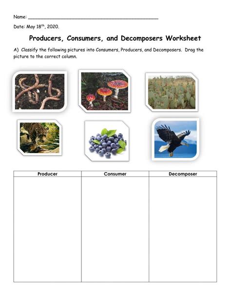Producers Consumers And Decomposers Worksheet Live Worksheets