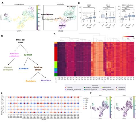 Mouse Embryo Single Cell Gene Expression And Methylation Multiomics Download Scientific Diagram