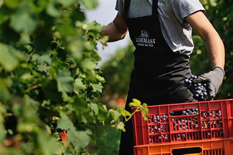 Tommasi Ripasso Valpolicella 2018