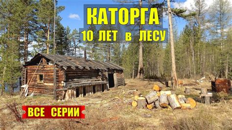 КАТОРГА 10 ЛЕТ в ЛЕСУ ВСЕ СЕРИИ СЕРИАЛ 2023 ПОБЕГ ИЗ ТЮРЬМЫ ЗОНА ОТШЕЛЬНИКИ ИСТОРИИ из ЖИЗНИ