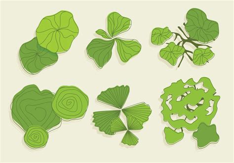 Tree Tops Vector 104178 Vector Art At Vecteezy