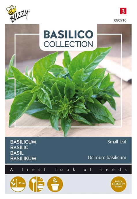Buzzy Basilikum Small Leaf Samen Ca 15 Gr Hornbach