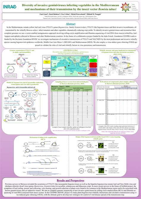 Pdf Diversity Of Invasive Geminiviruses Infecting Vegetables In The Mediterranean And