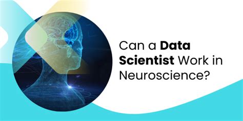 The Intersection Of Neuroscience And Data Science Exploring The Synergies Institute Of Data