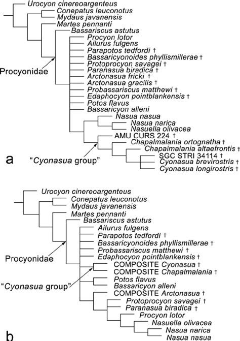 Strict Consensus Tree From 19 Most Parsimonious Trees Recovered By Download Scientific Diagram
