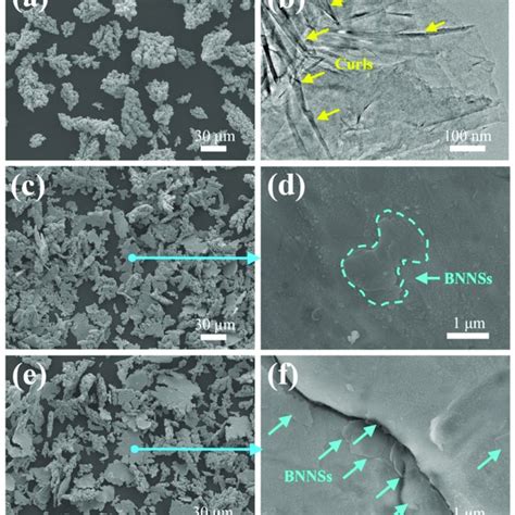 Powder Morphology A Cu Powder Sem B Bnns Powder Tem C D Download Scientific