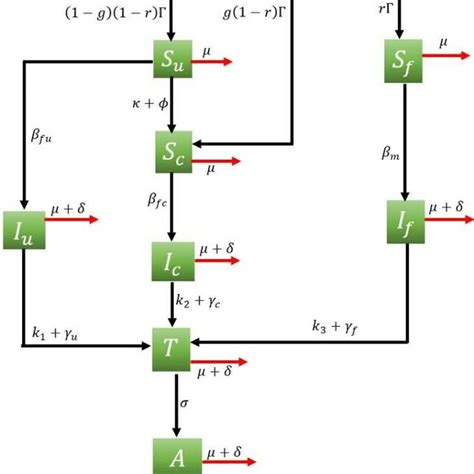 Flow Diagram For The Mathematical Model The Model Is Governed By The Download Scientific