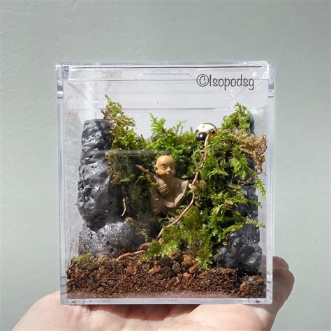 Nano Terrarium With Isopod Furniture And Home Living Gardening Plants And Seeds On Carousell