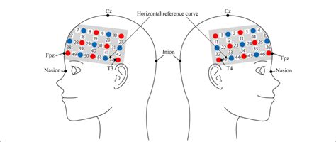 Figure E Spatial Profiles Of Functional Near Infrared Spectroscopy Download Scientific Diagram