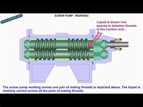 Screw Pump