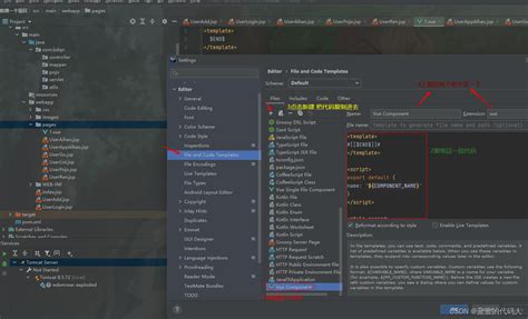 如何在idea里面写vue（vue component没有怎么办） idea怎么用vue component csdn博客