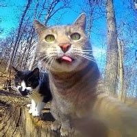 Vue整合Echarts报错TypeError Cannot read properties of undefined reading init 腾讯云开发者社区 腾讯云