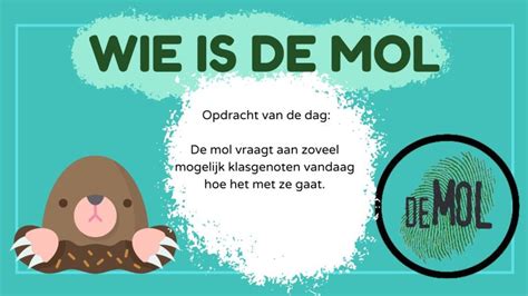 Groepsvormer Wie Is De Mol Opdrachtenkaartjes Kleine Opdrachtjes