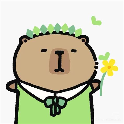 Bộ Sưu Tập 222 Capybara Chibi Cute đáng Yêu độc Nhất